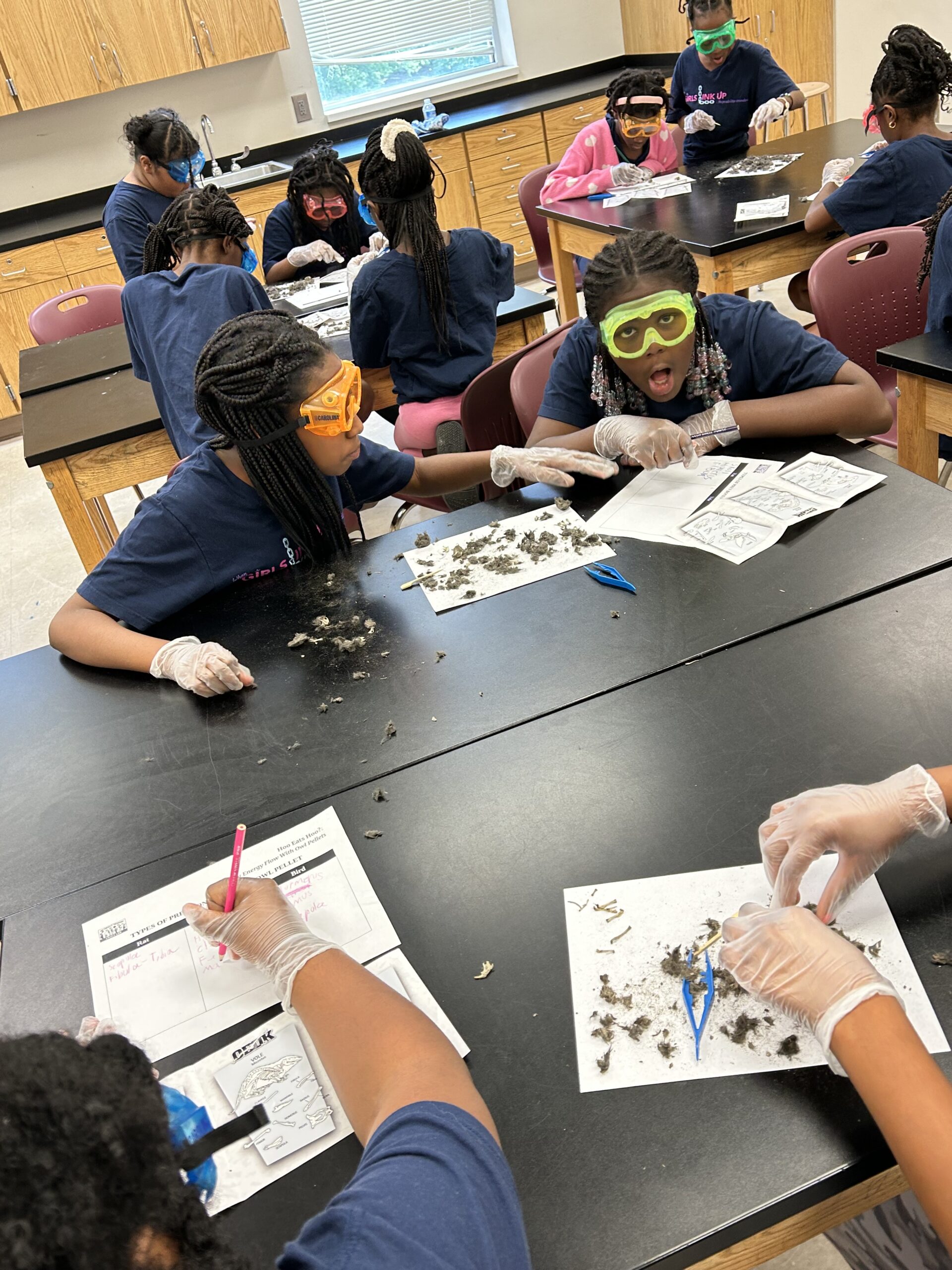 Girls Link Up – 2025 Summer Camp - 3D Girls, Inc.